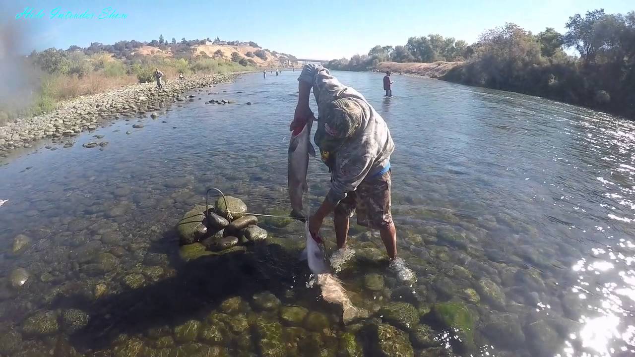 Fishing Sailors Bar American River for salmon - YouTube