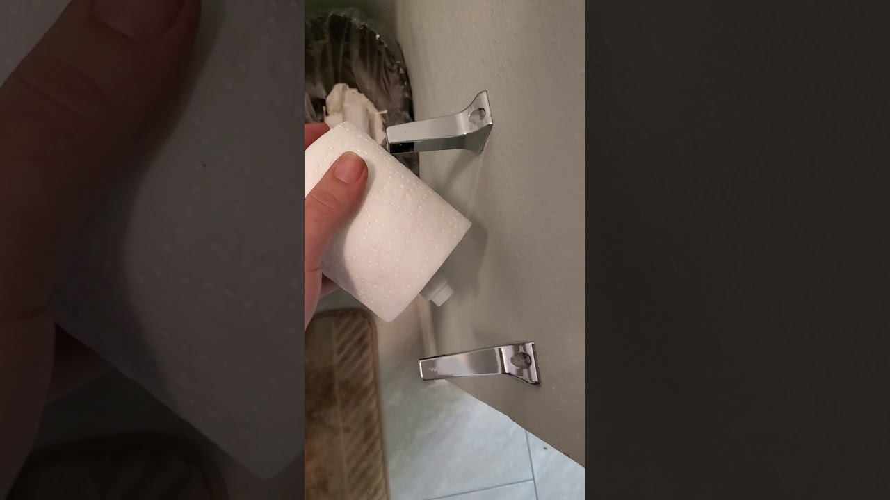 S1E1 - How Do I Replace A Roll Of Toilet Paper - YouTube