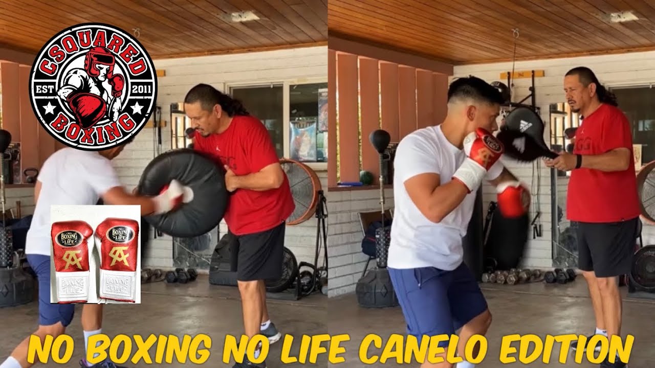 BOXING PAD WORK- No Boxing No Life Canelo Edition Gloves - YouTube