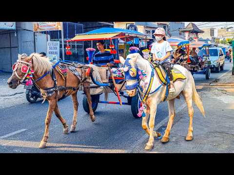 LAGU NAIK DELMAN ISTIMEWA 🐴 Lagu Anak Indonesia | Naik Kuda Ceria