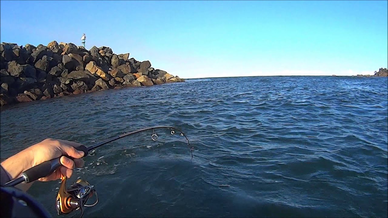 Jewfish from the Yak - Port Macquarie - YouTube