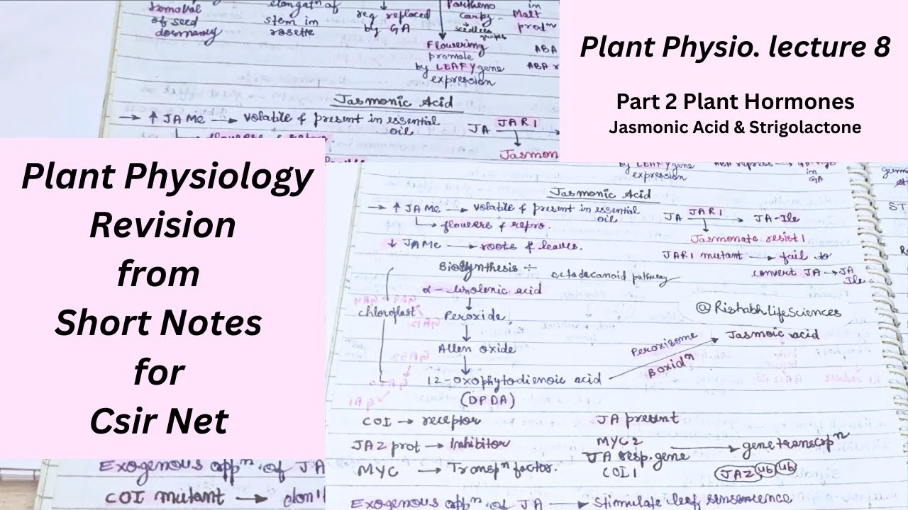 Plant Physiology Revision | Short Notes for CSIR NET, GATE, DBT, ICMR ...