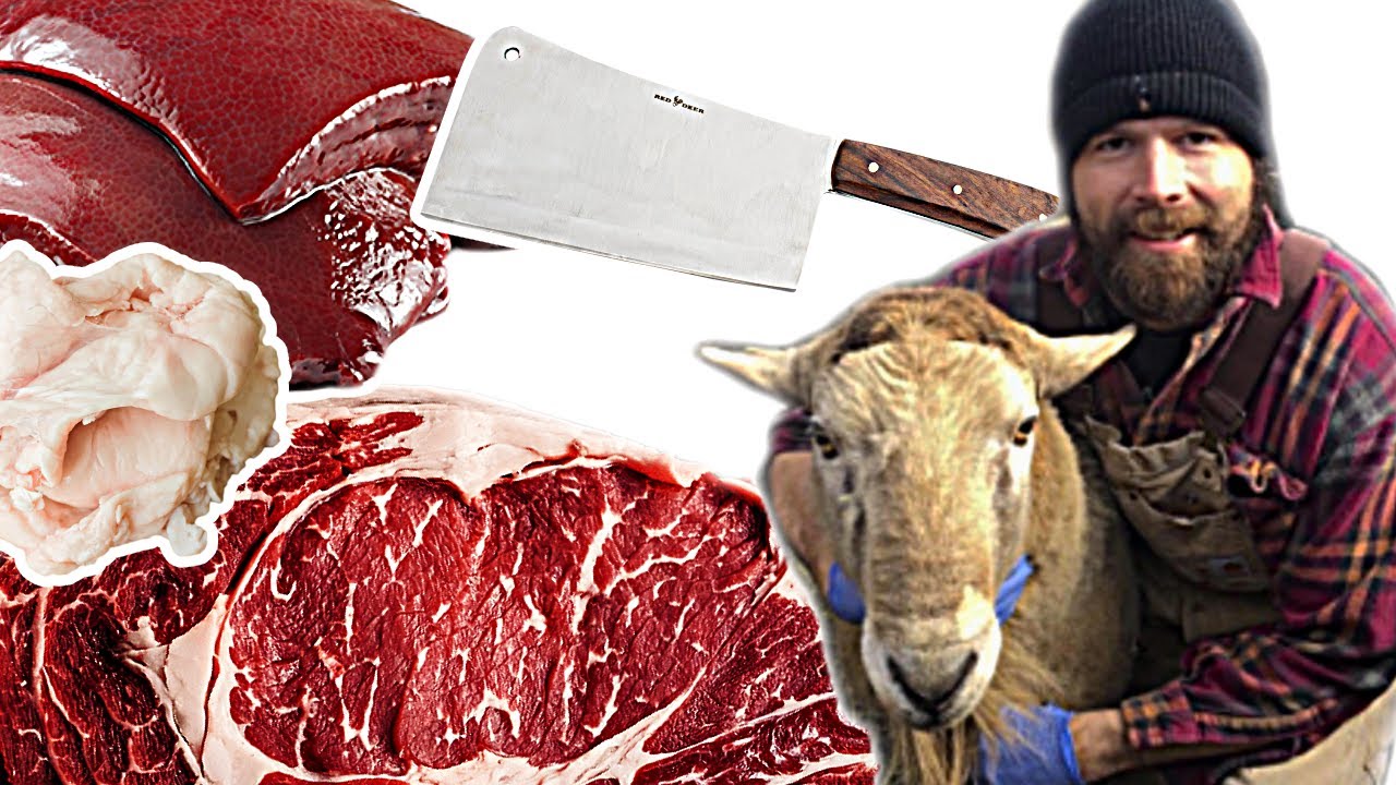 14 Years of a Raw Meat Diet with Derek Nance (Healing Gut, Organ ...