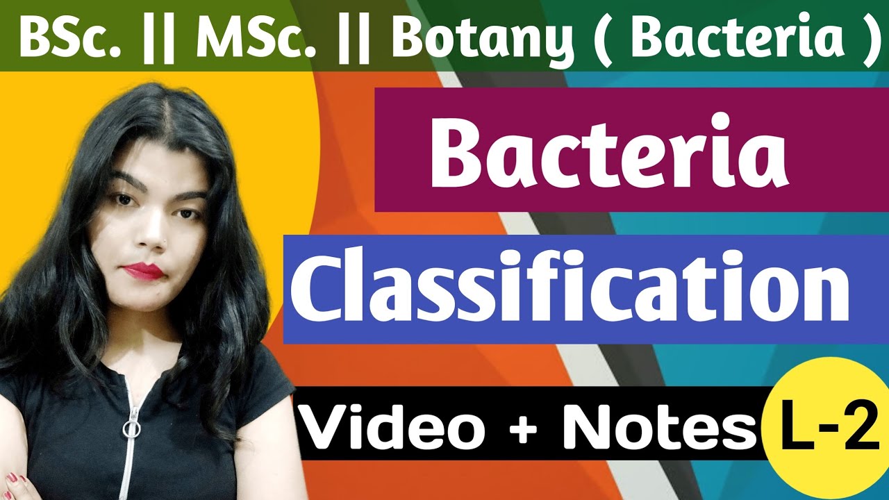 Classification of bacteria | BSc Botany - YouTube