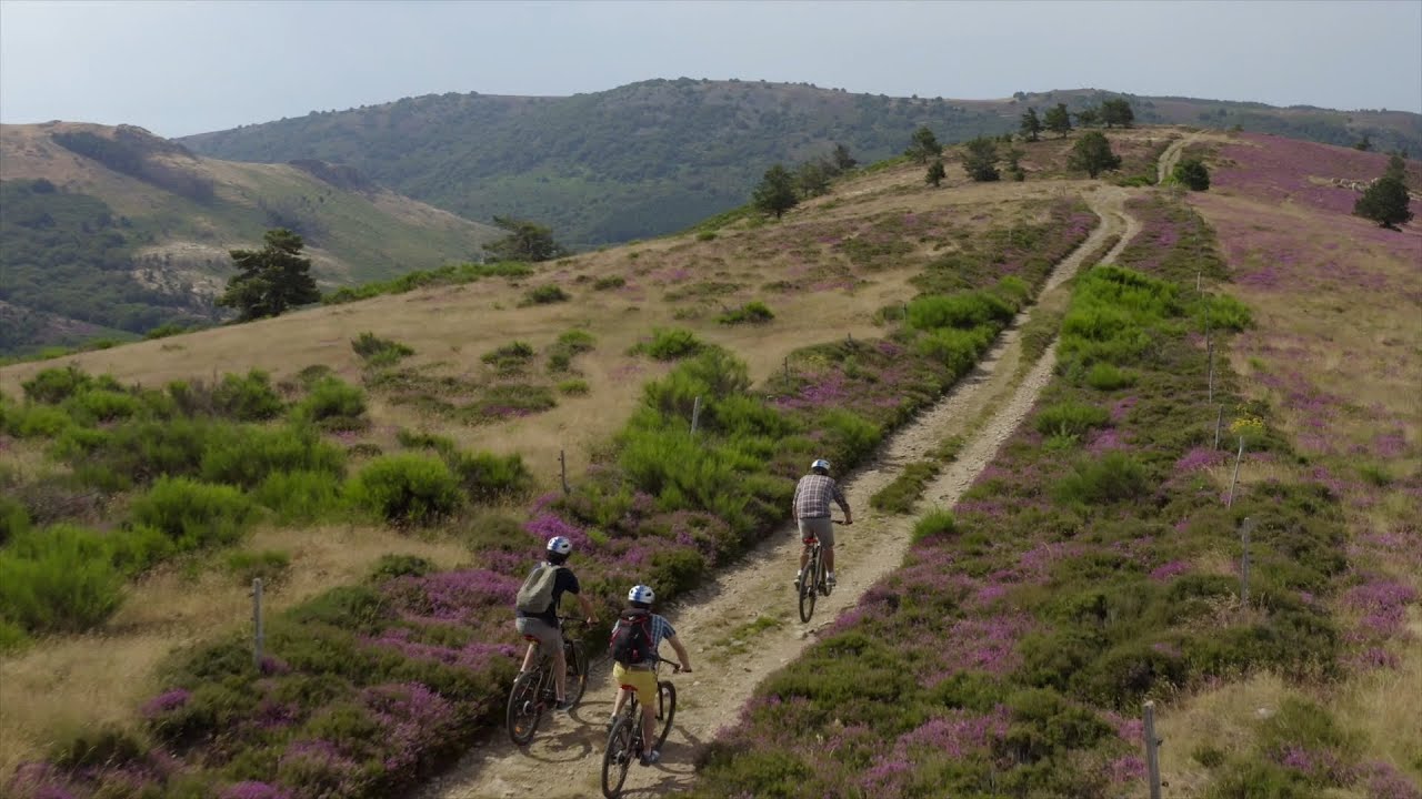 Balade VTT entre Monts & Lacs - YouTube