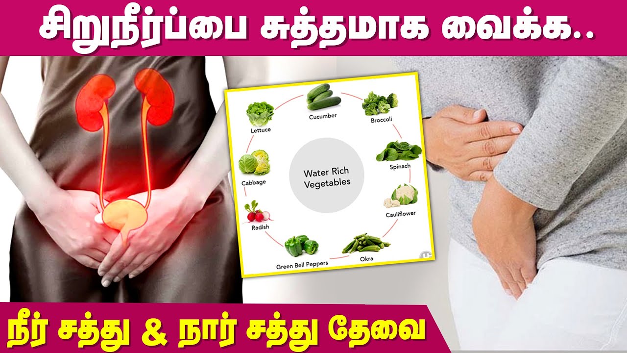 Causes of Urine Infection | Easy Ways to Treat Urinary Tract Infection ...