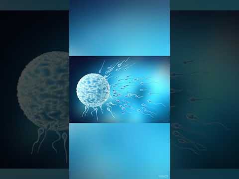 HOMILADORLIKNING 2-HAFTASI