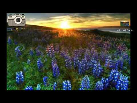 Ey Xalıqe Hayyu Cebbar İlahi'si Kısa Video | @İlahi Tv Youtube