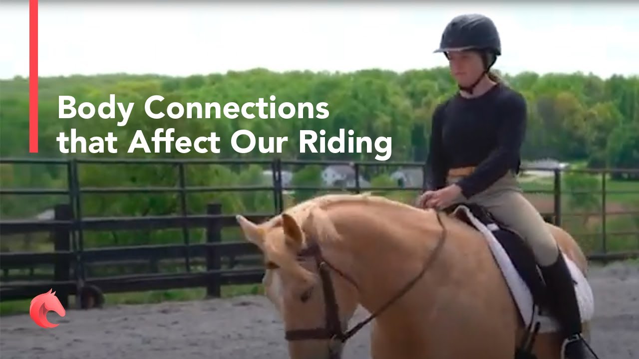 Body Connections that Affect Our Riding - YouTube