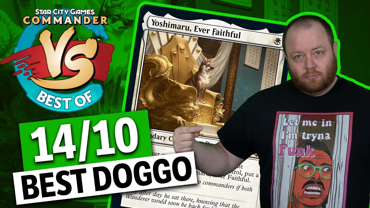 What the Dawg do? | Season 26 Episode 10 | Best of Commander VS - YouTube