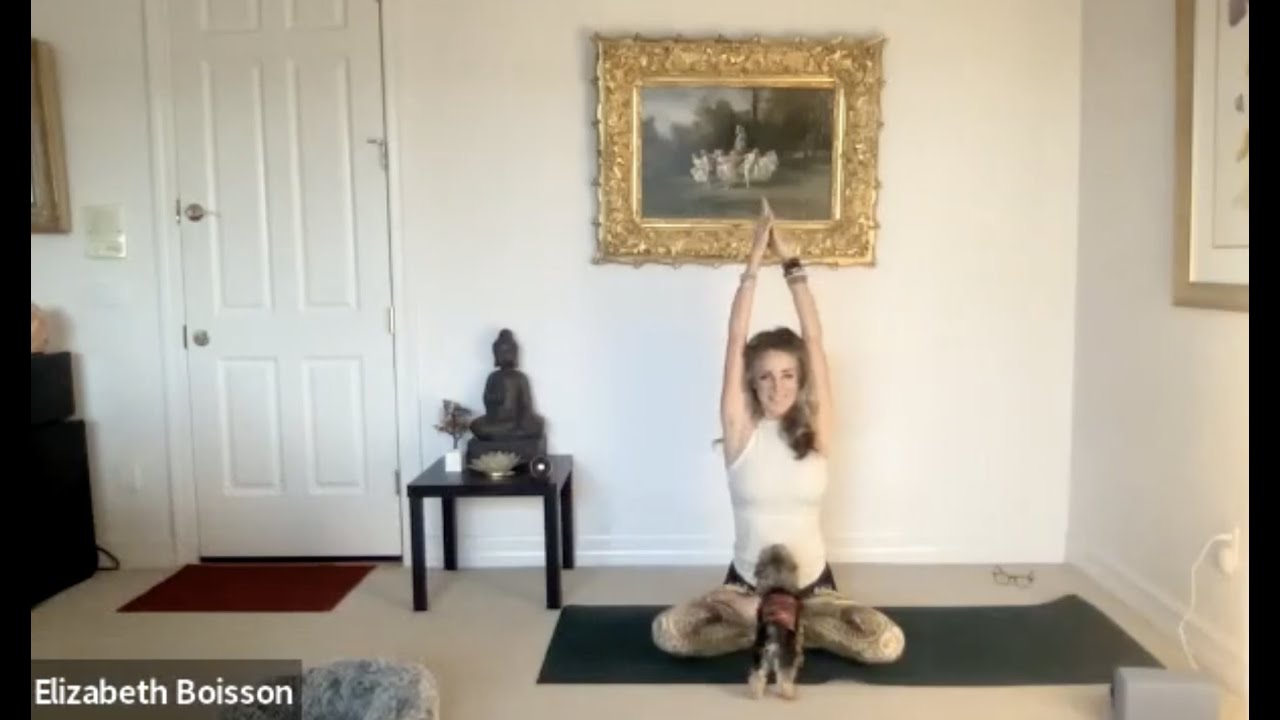 Flow Yoga with Power Options (and Loki, the Teacup Yorkie) on December ...