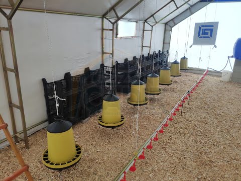 500 Tavukluk Çadır Kümes Bilgilendirme