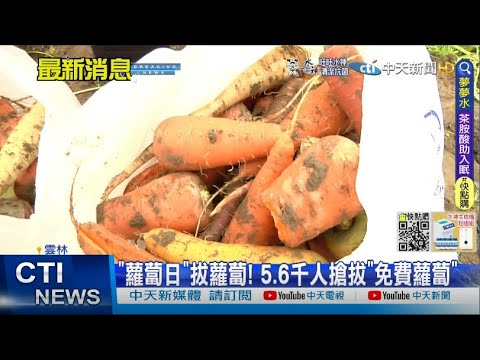 【每日必看】雲林東勢"五千人"拔蘿蔔! 挑戰金氏世界紀錄@中天新聞CtiNews 20220305 - YouTube