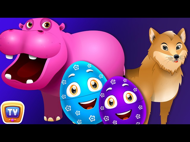 ChuChu TV Classics - Learn Wild Animals & Animal Sounds | Surprise Eggs ...