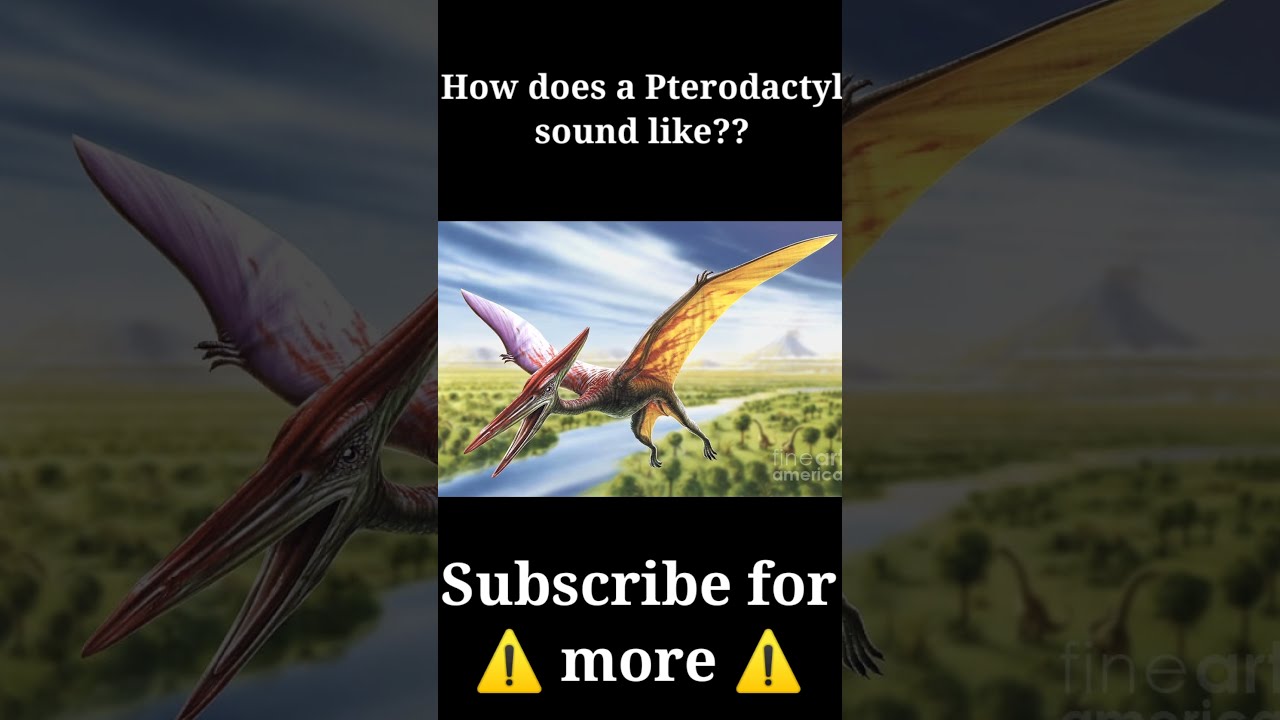 How does a Pterodactyl sound like?? 😱 - YouTube