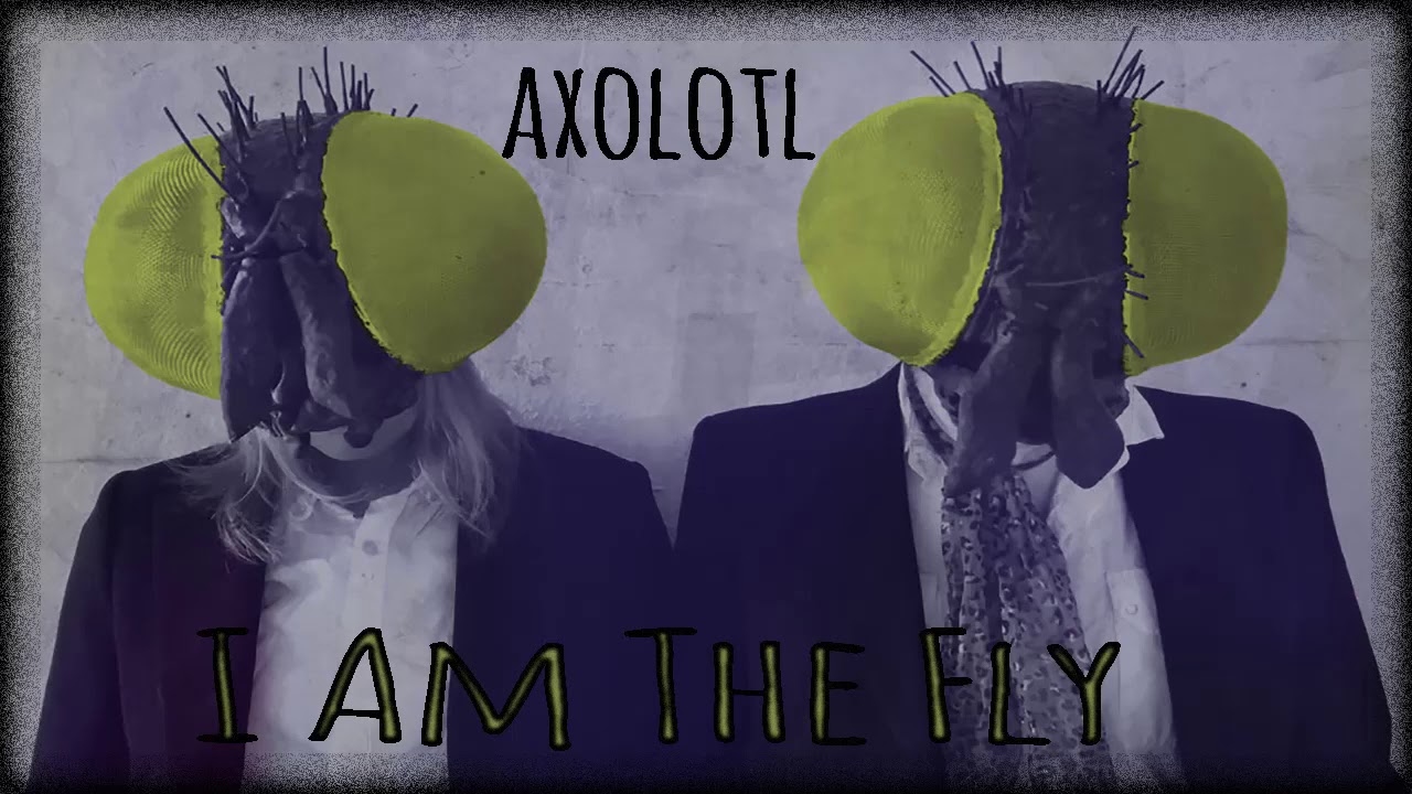 I AM THE FLY - axolotl [2020] - YouTube
