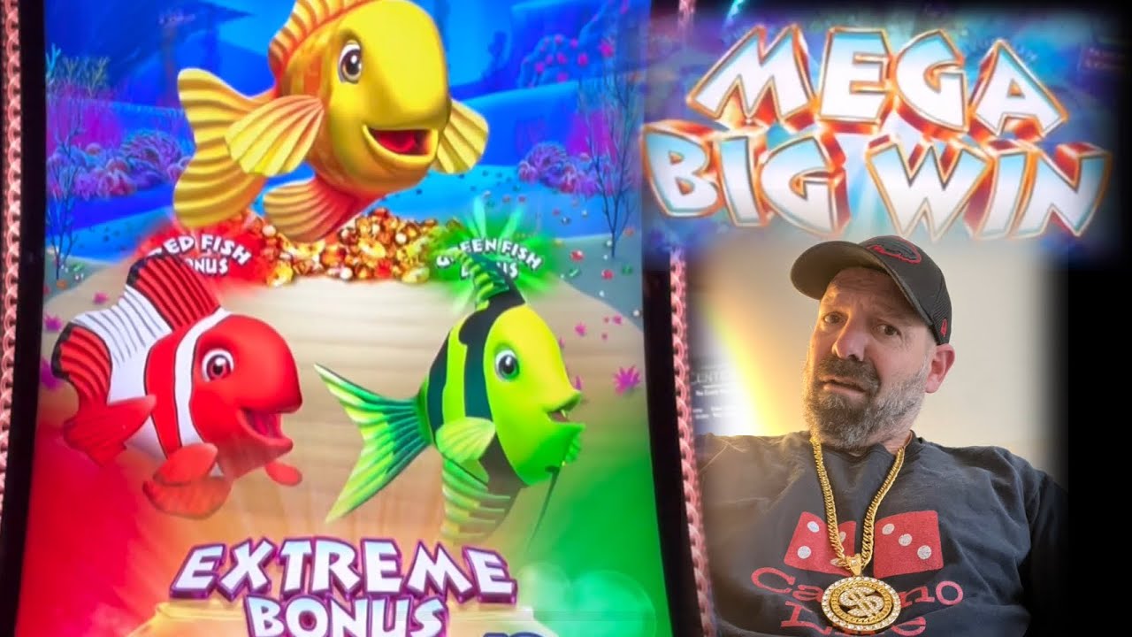 Killin’ it on Fish & Games! Half-Jackpot $4/bets - YouTube