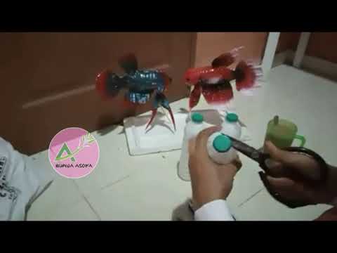 Tutorial Membuat ikan Koi botol aqua part 1