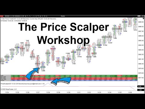 Price Scalper Workshop Combine Price Action And Order Flow - YouTube