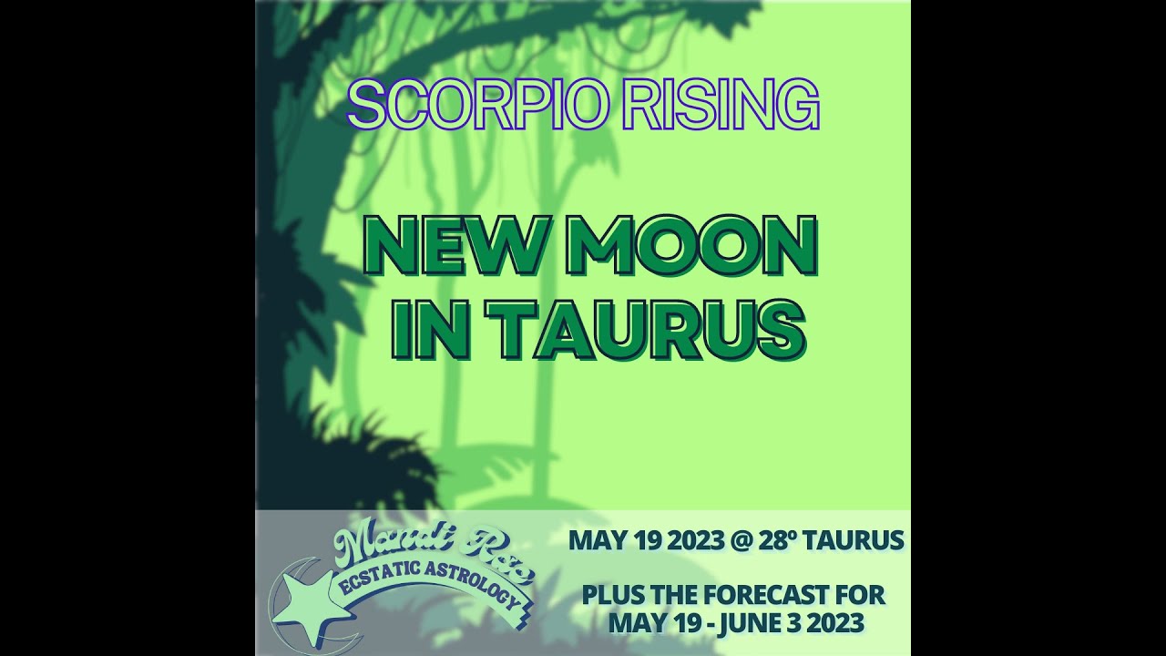 Scorpio Rising // New Moon in Taurus + May 19 - June 3 forecast - YouTube
