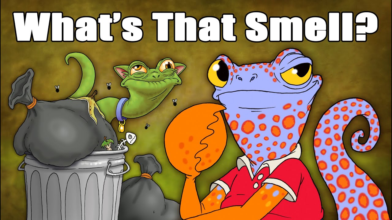MUTASIA SILLY SONGS What s That Smell YouTube mutasia-silly-songs-what-s-that-smell-youtube