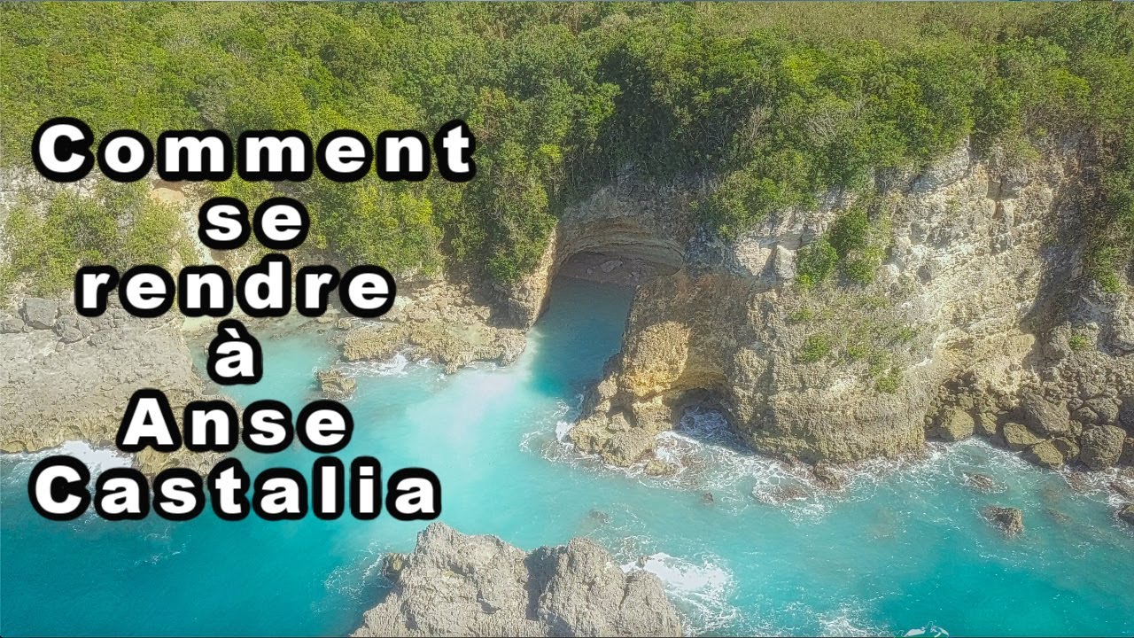 Guadeloupe 📍Vlog Anse Castalia Pointe Des Chateaux - YouTube