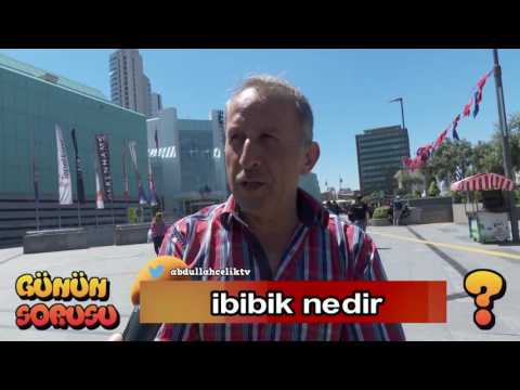 GÜNÜN SORUSU - İBİBİK NEDİR ? (en yeni videolar için kanalımıza abone olabilirsiniz )