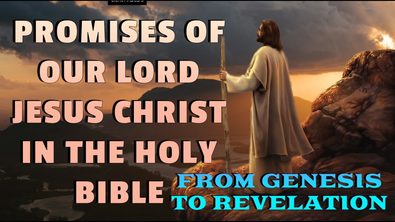 From Genesis to Revelation: Exploring the Promises of Our Lord Jesus ...