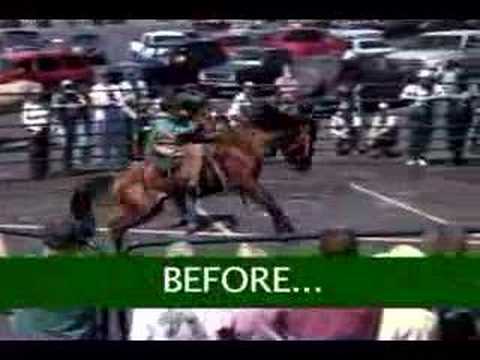 Horseshoeing Time & the Noavel Headstall in Muscle Shoals - YouTube