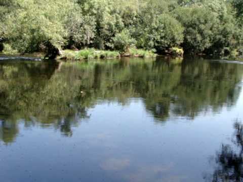 Paseo por el río Ulla - YouTube