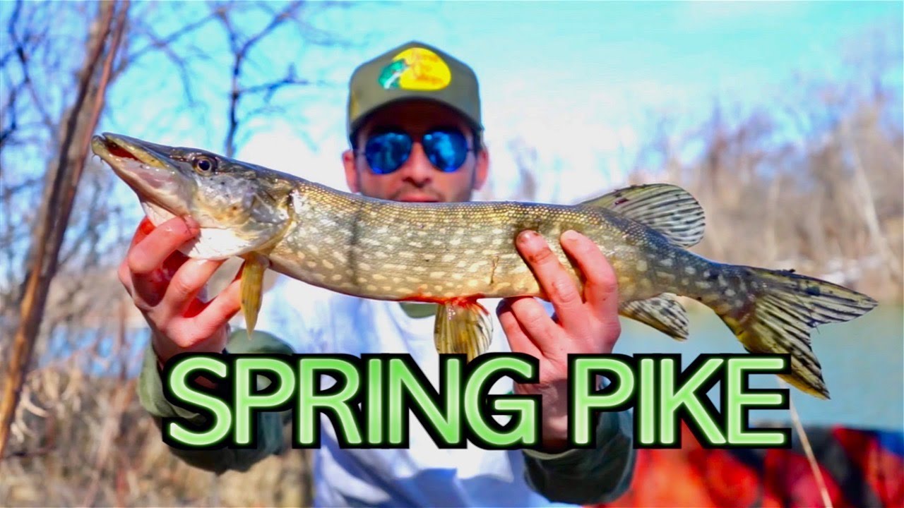 The 2 BEST PIKE LURES for early SPRING FISHING! - YouTube