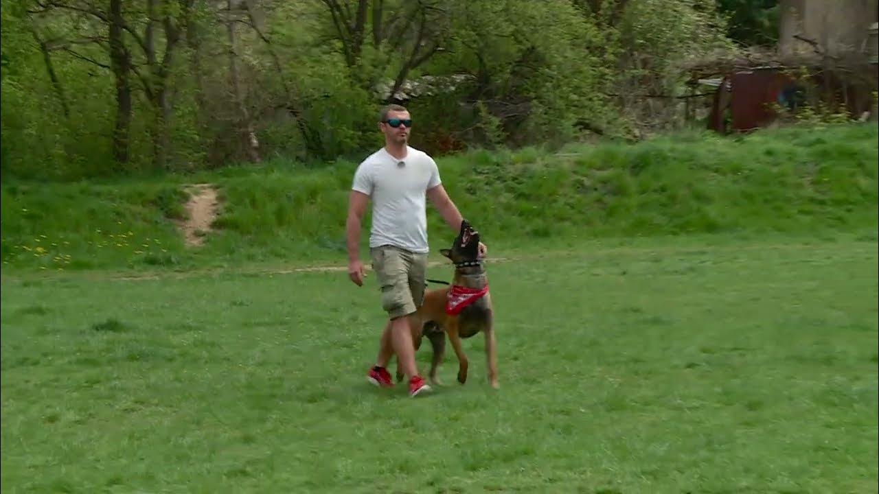 Как се готвят за изпит BH героите на нашата V+V рубрика, Венъм и Венци ...