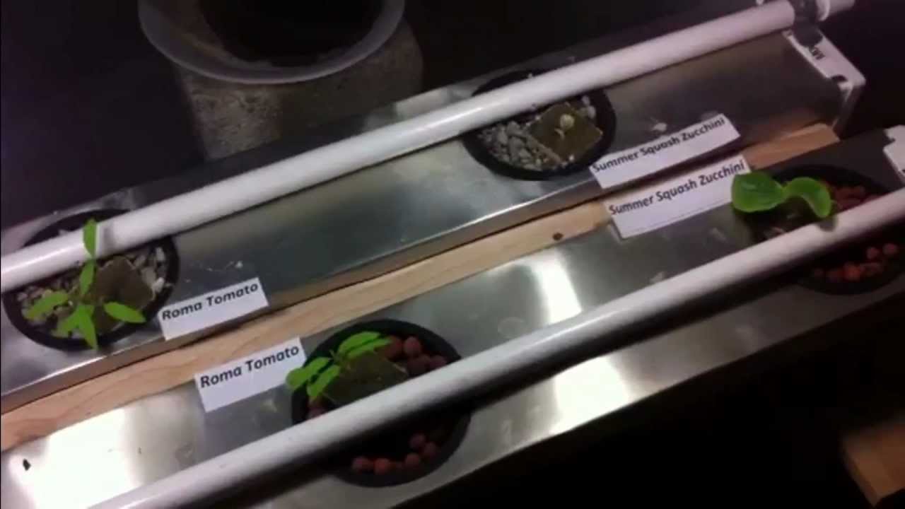 Diy Vertical Hydroponic Drip Systems