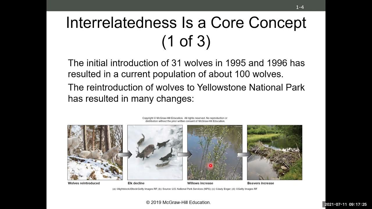 Chapter 1: Environmental Interrelationships - YouTube