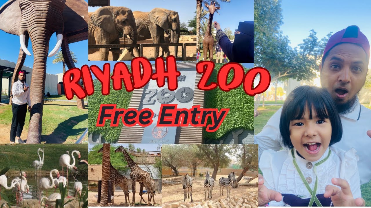 Exploring the Largest Zoo in Saudi Arabia: Family Fun Day at Riyadh Zoo ...
