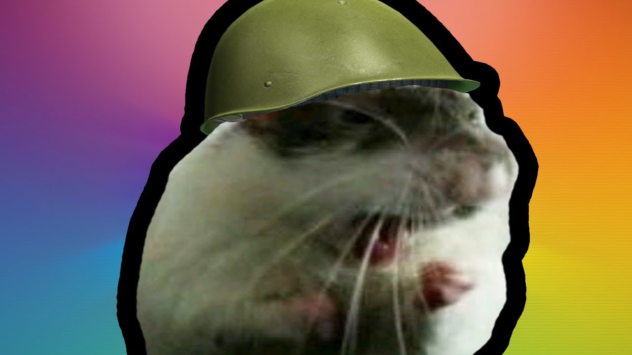 HOW TO RAT IN TARKOV - YouTube