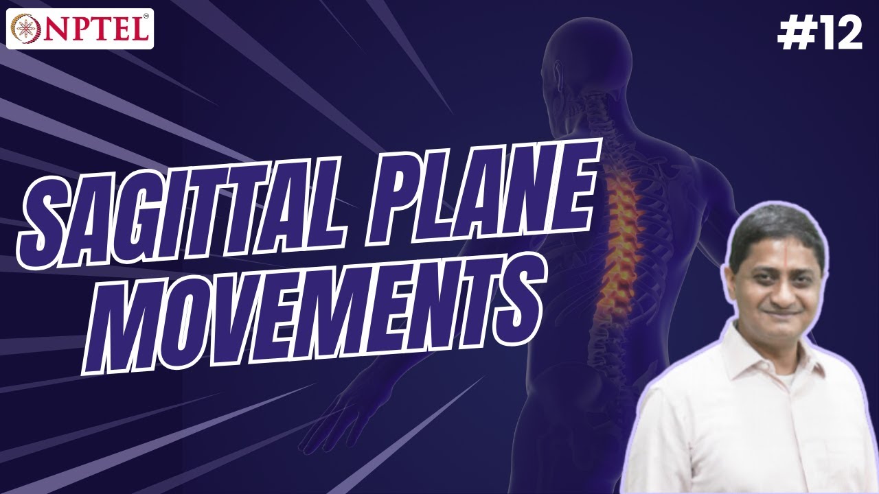 #12 Sagittal Plane Movements | Biomechanics - YouTube