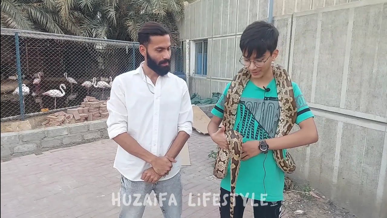 VISITING AT ELIXIR PRIVATE ZOO || NORTH NAZIMABAD || KARACHI - YouTube