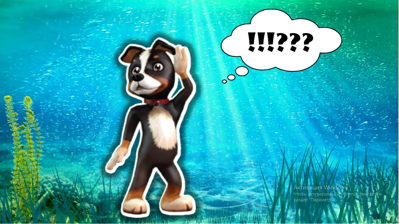 Dog Dance - Cartoon Animation with Sound Variation - YouTube