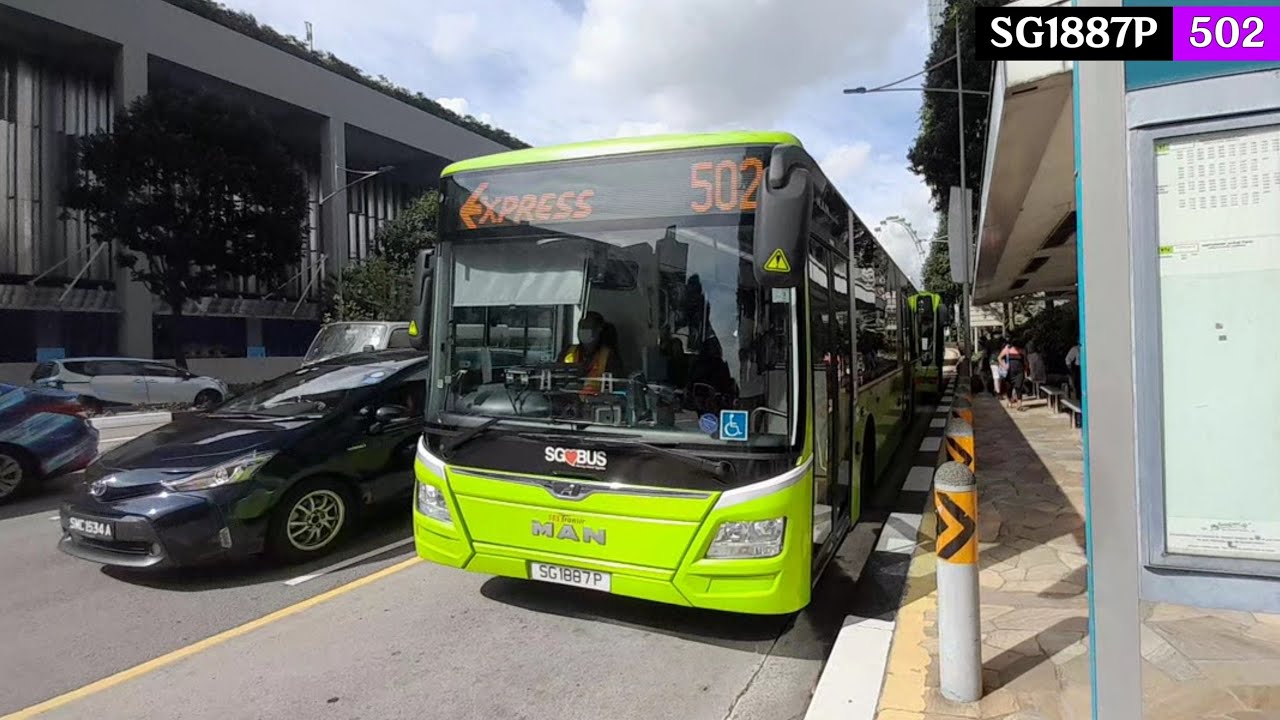 SBS Transit Buses: SG1887P on 502 - YouTube