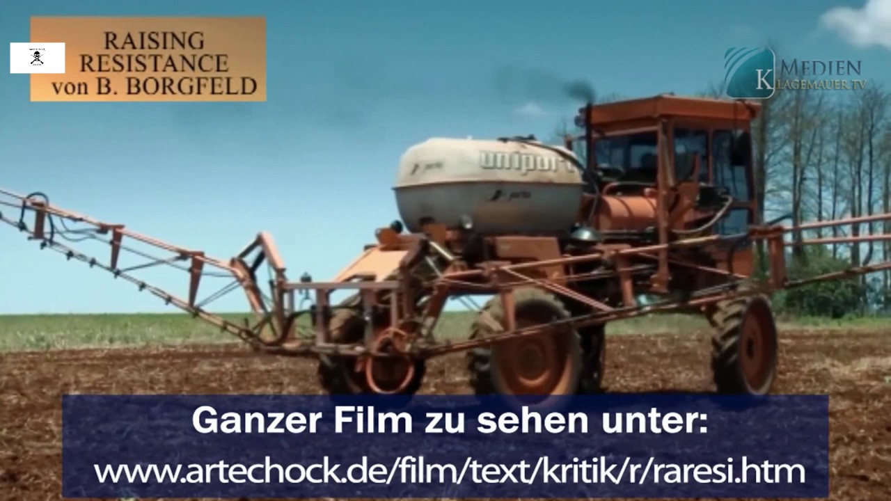 info / Les OGM sont ils dangereux pour l’homme et l’environnement - YouTube