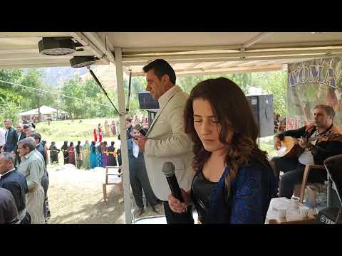 Hakkari aşiret düğünü KOMA Sümbül Awesta🙏🙏🎤#halay #hakkari