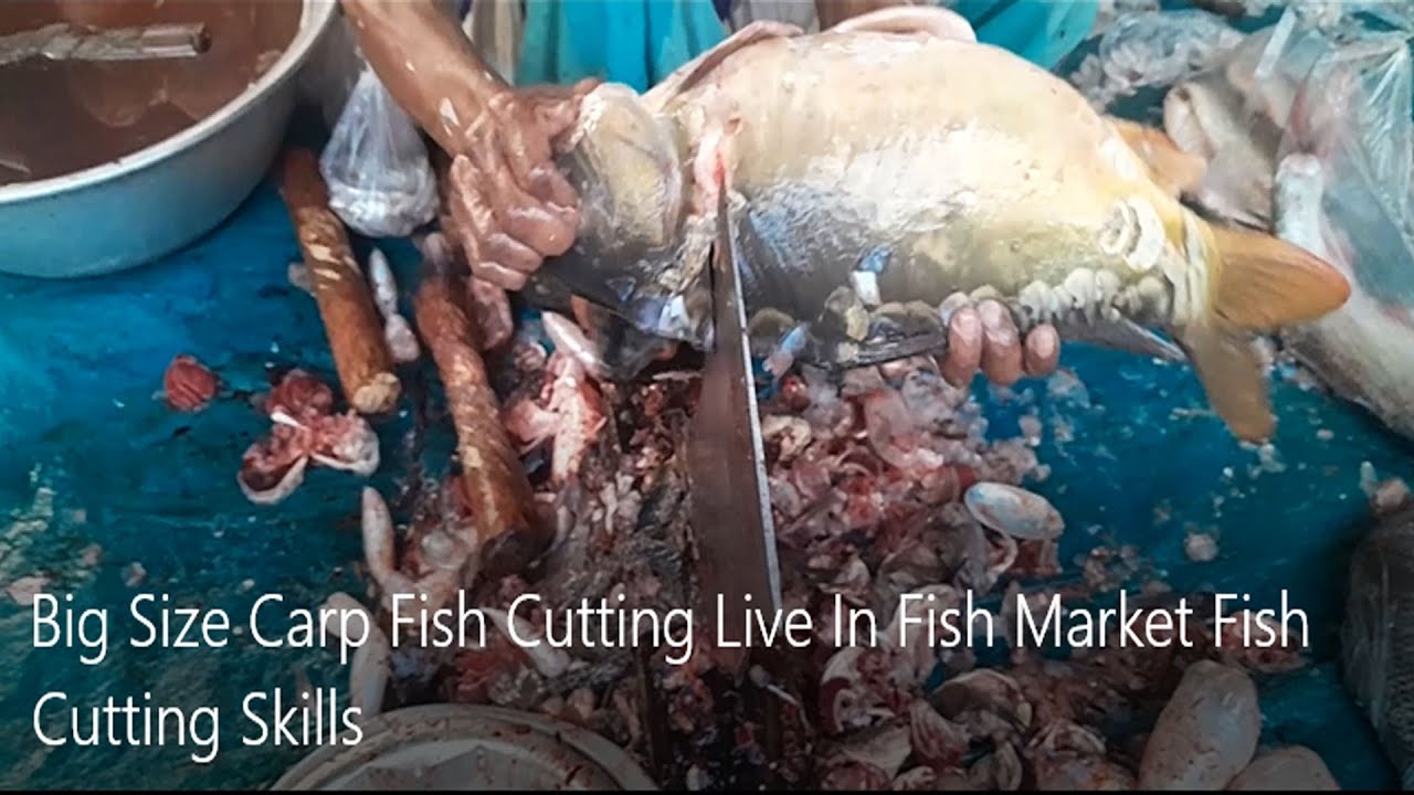 Big Size Carp Fish Cutting Live In Fish Market Fish Cutting Skills ...
