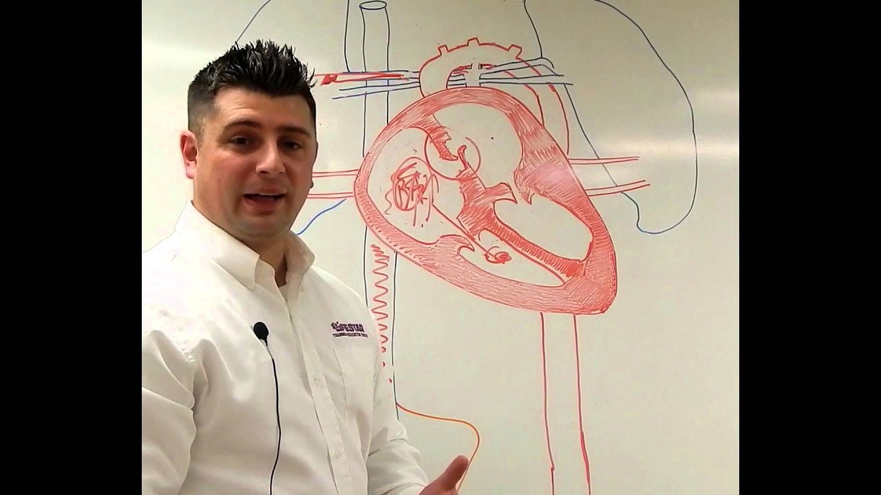 Neonatal Circulation Part 1/3 Preductal Sp02 - YouTube