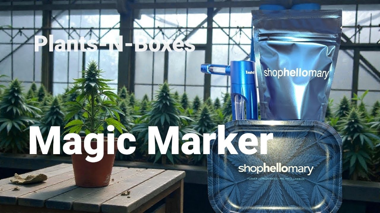 Magic Marker By Shop Hello Mary Review - YouTube