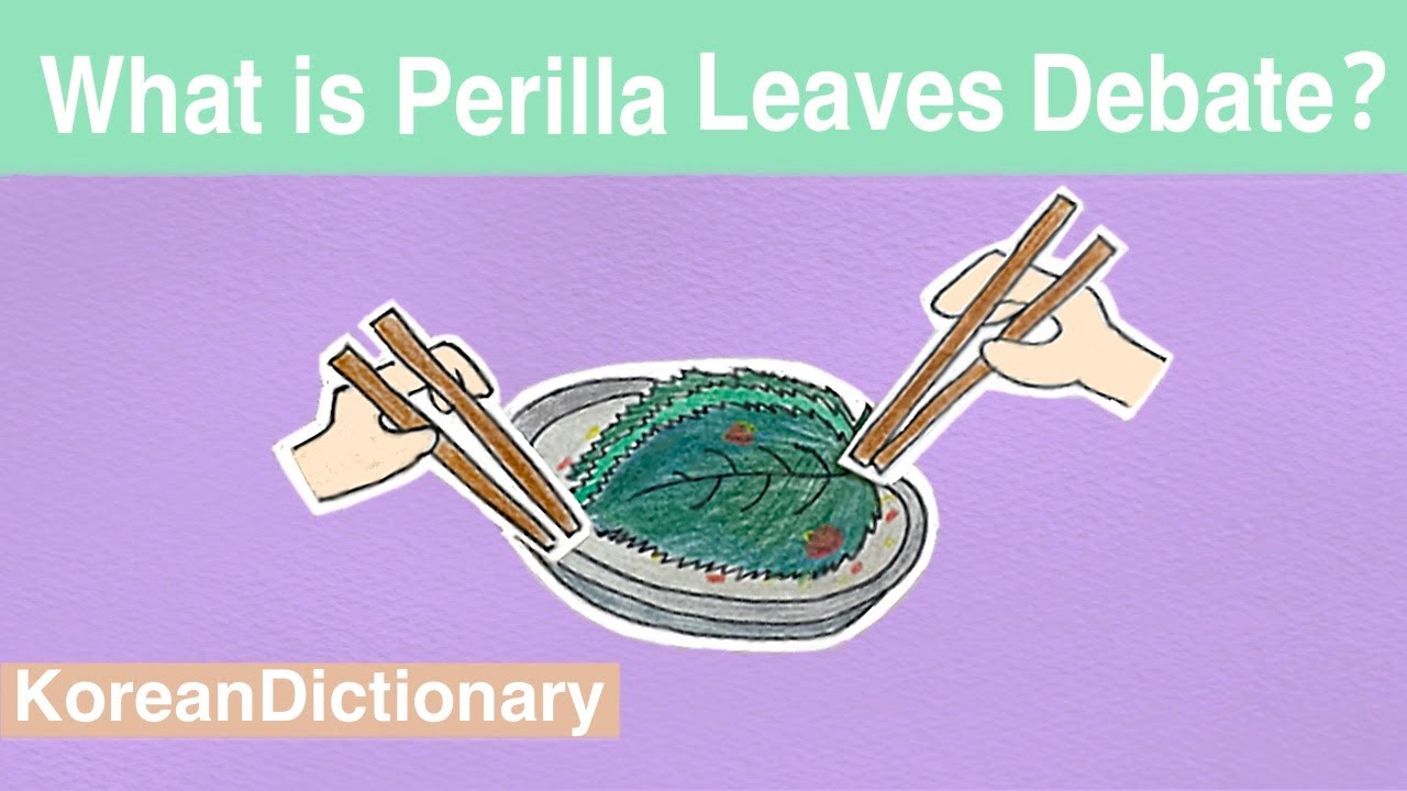 Perilla leaves debate meaning: perilla leaves in korean - YouTube