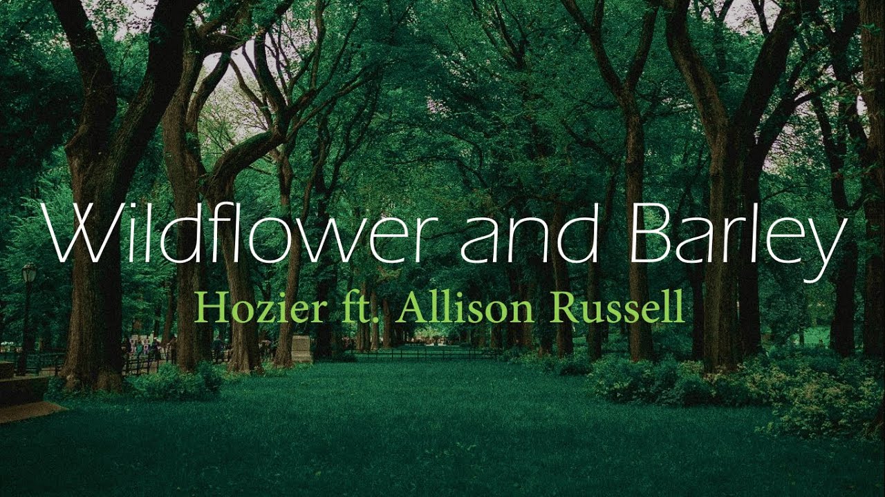 Hozier - Wildflower and Barley (Sub. Español) - YouTube