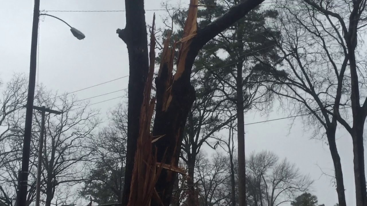 Video Zap • GOLD (☺︎) Lightning Strike Tree Video Xmas Dec 2015 - YouTube