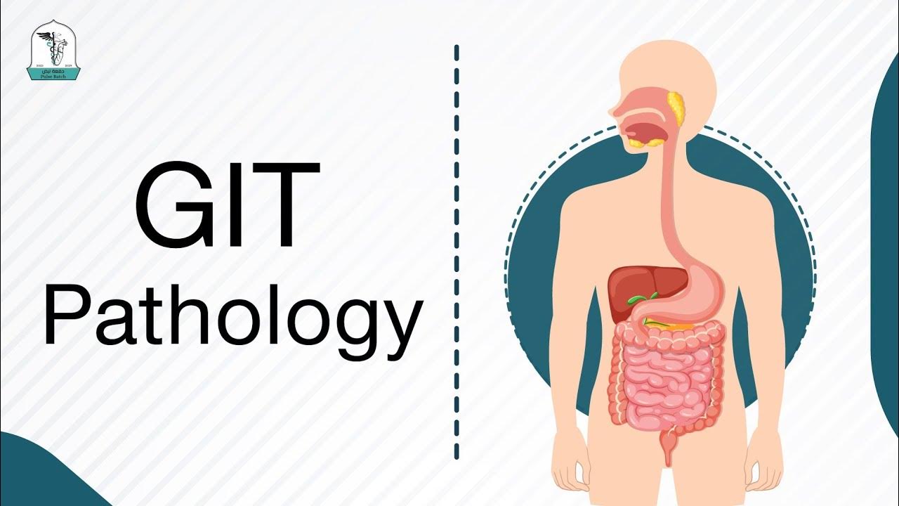 Pathology Lec 3 - YouTube