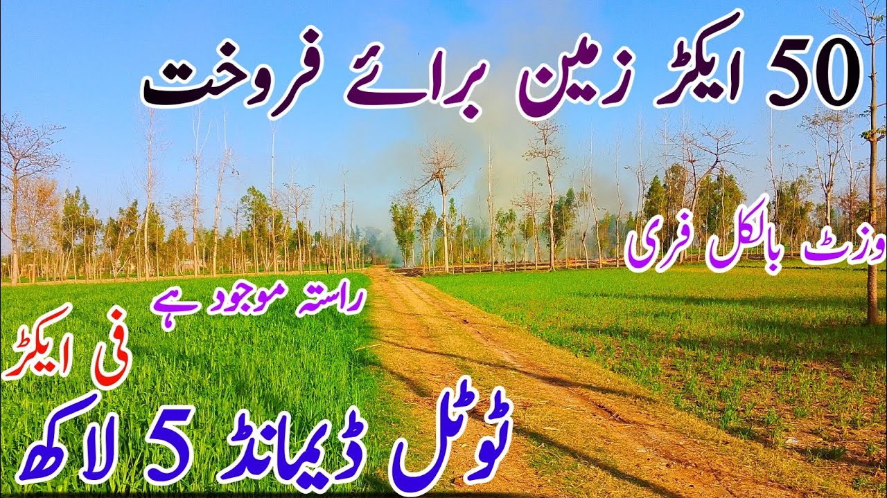50 Acre land for sale in Punjab Pakistan | agriculture land for sale in ...